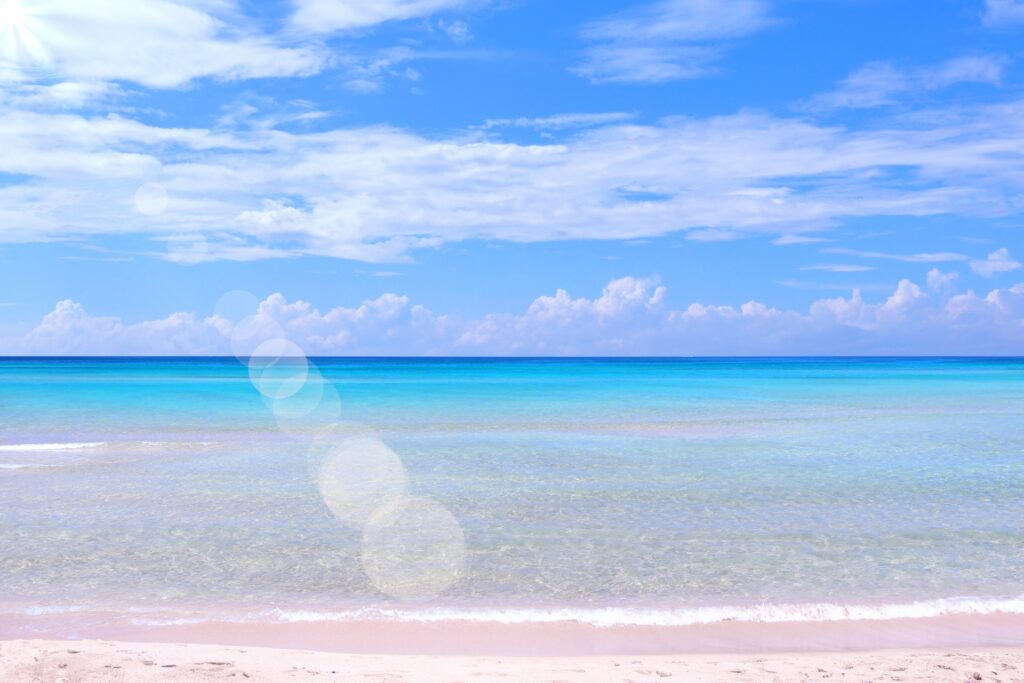 採用情報 | mitax